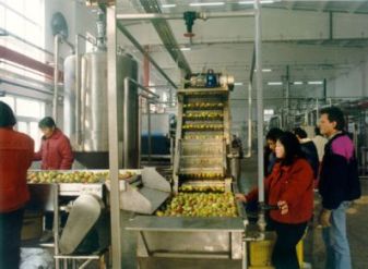 APPLE JUICE PRODUCTION LINE Fruit Processing For Sale new