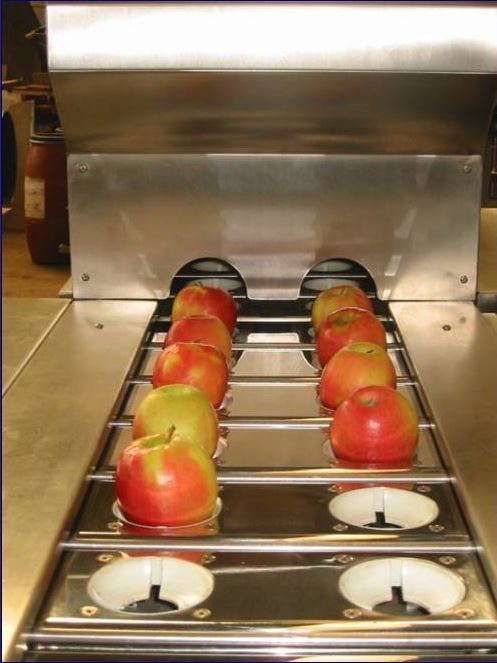 NEW APPLE RING SLICER & CORER FOR SALE
