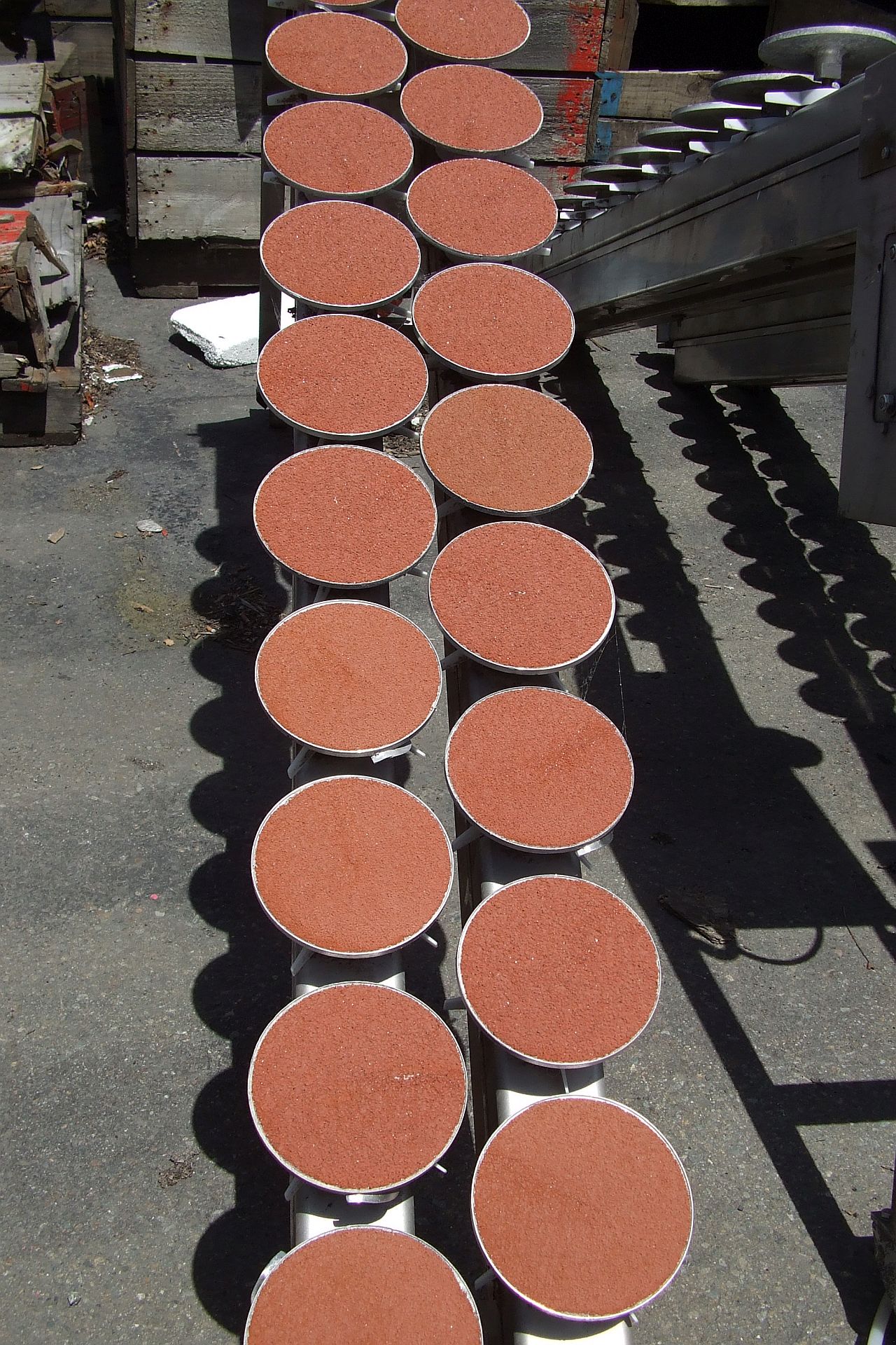 Used Industrial Commercial Continuous Peelers For Sale NZ Dornow