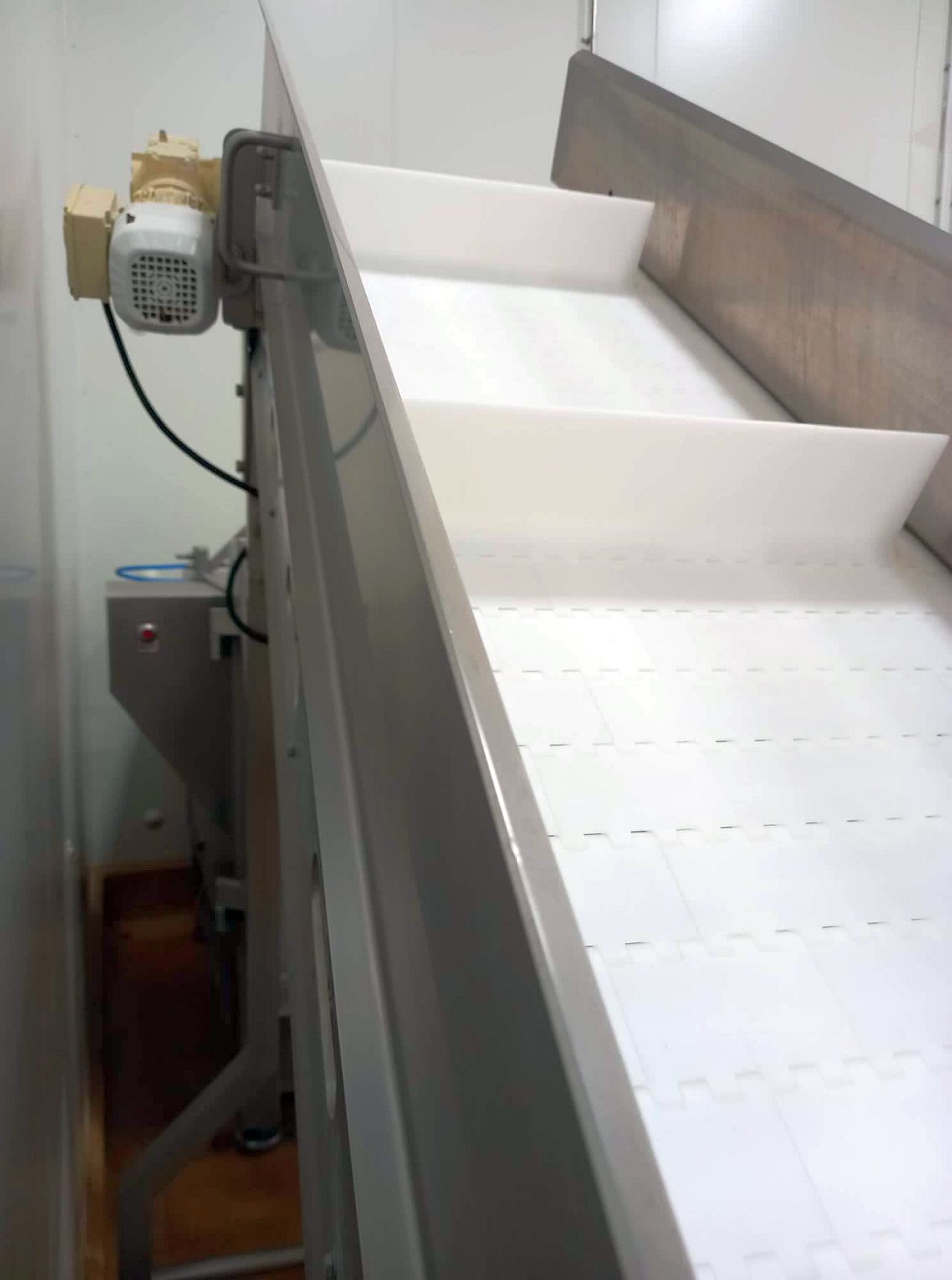For Sale NZ Used Dice Cutter With Cleated Inclined Conveyor Spare ...