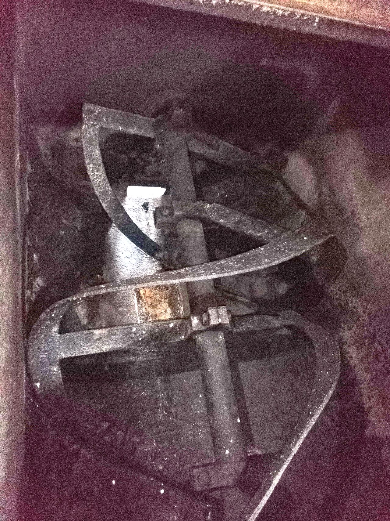 Used Live Steam Injection Ribbon Cooker with Bin Tipper and Bins For ...